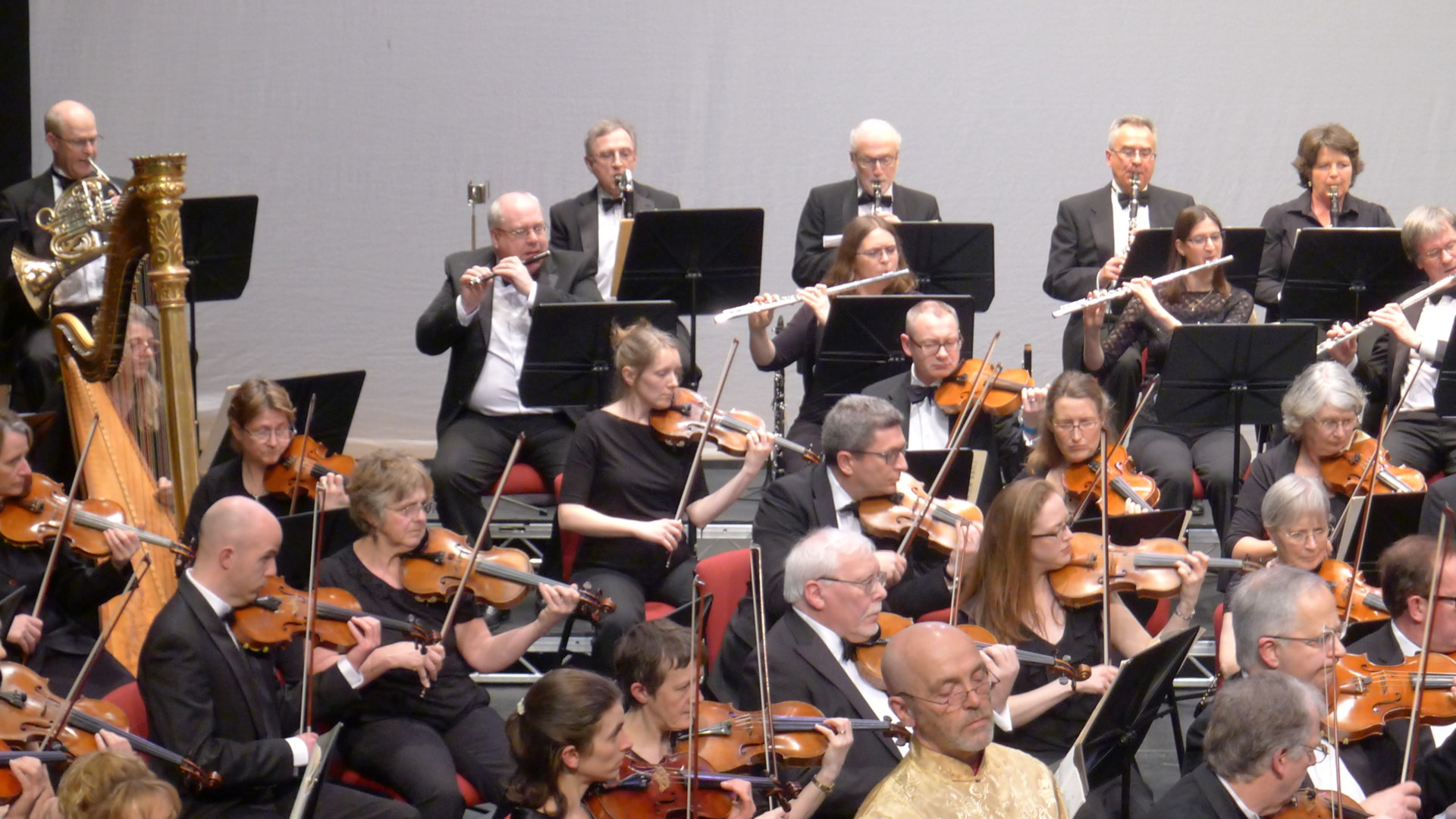 Gallery – Bromley Symphony Orchestra